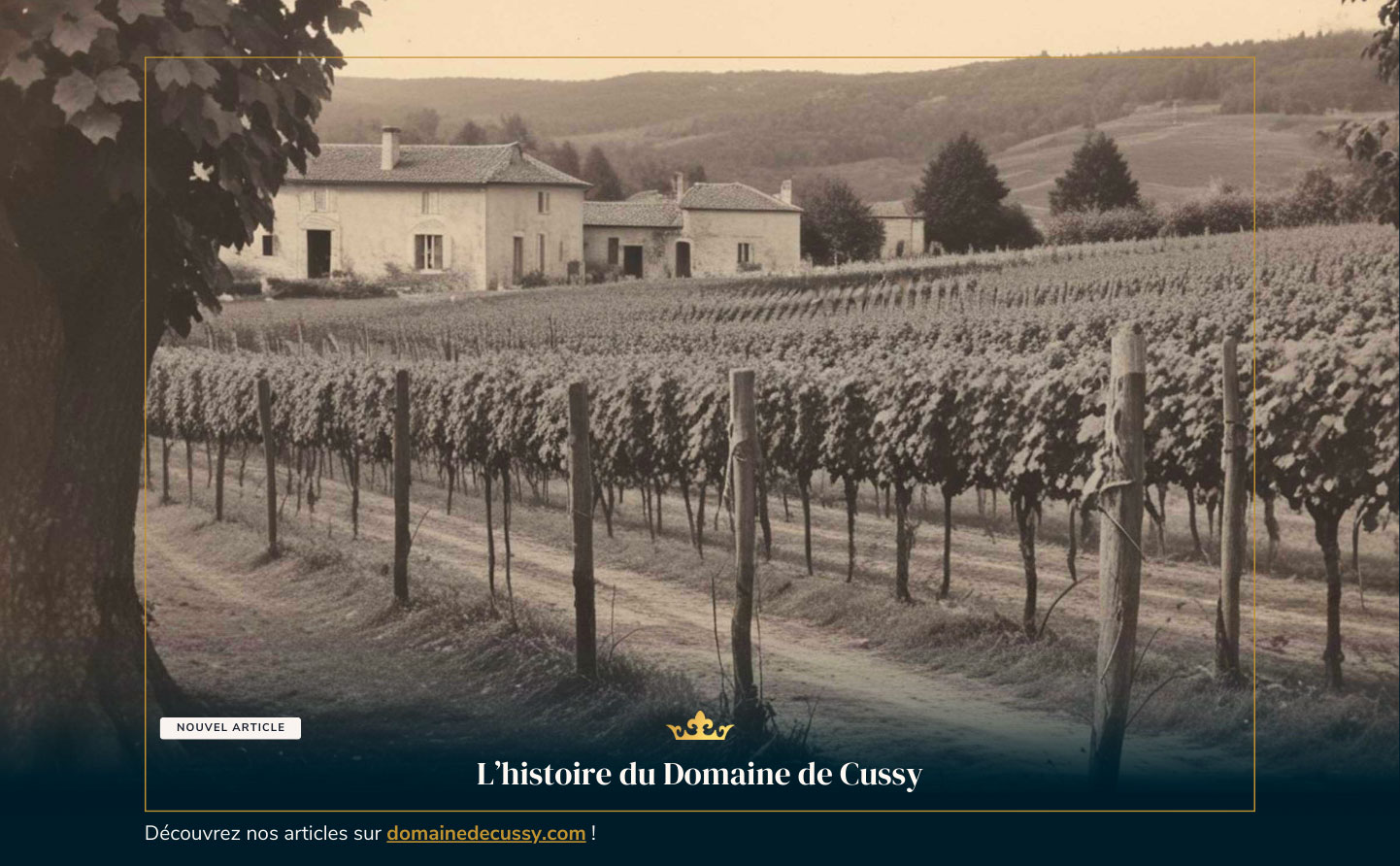 L'histoire du Domaine de Cussy - Du vin au mariage en Normandie